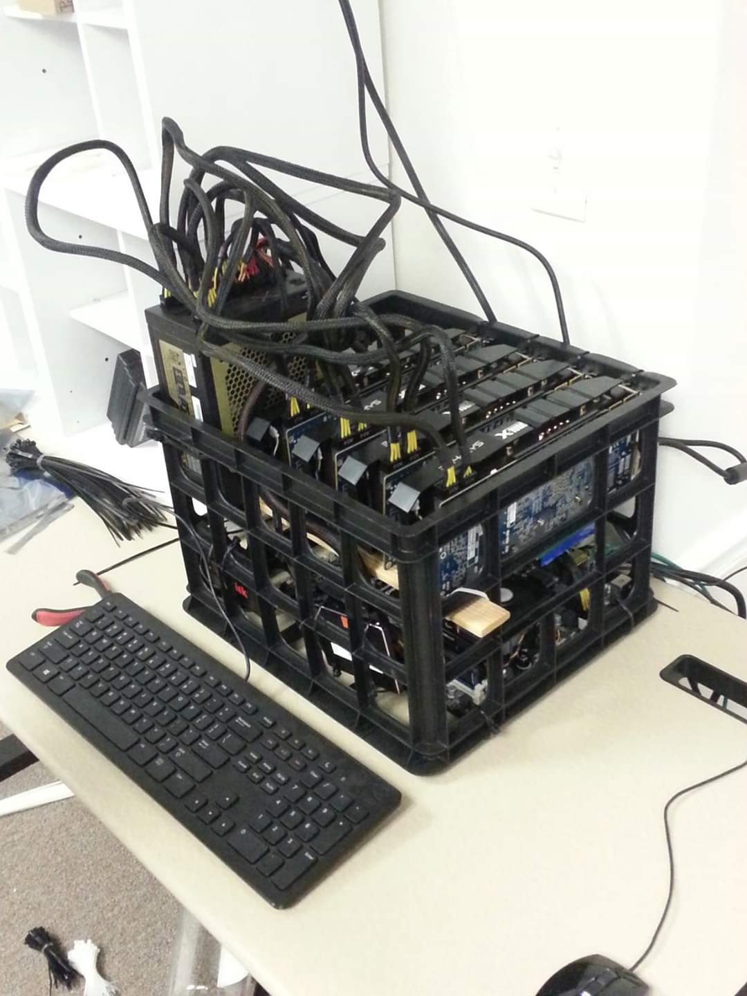 Bonus Ep: Project Sunlight - Cold Podcast