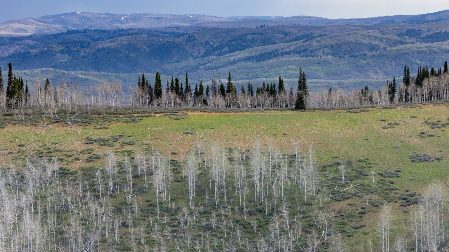 Ep 7: Purgatory - Cold Podcast