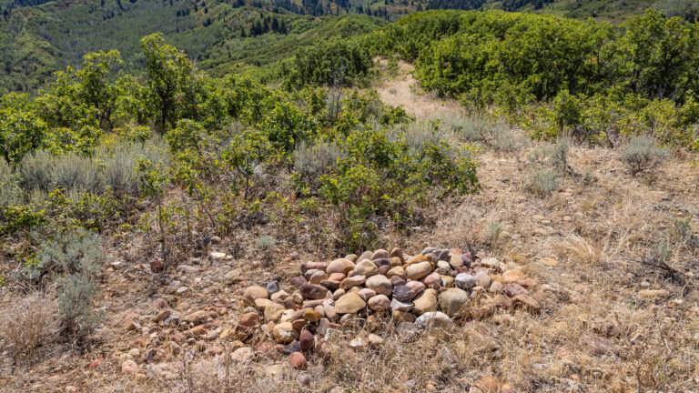 Season 3 - Cold Podcast