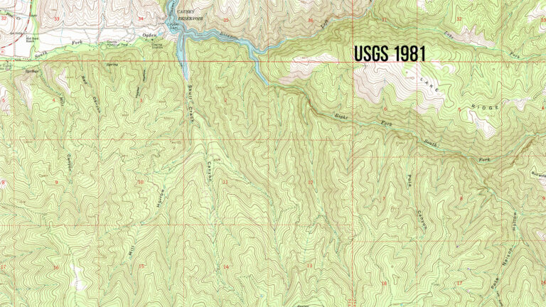 Bonus: The Causey Search - Cold Podcast